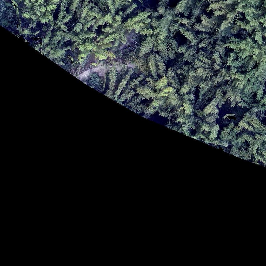 banboo - Roboflow Universe