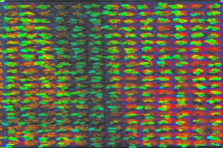 Proyecto De Tesis Conteo De Plantines Object Detection Dataset V8