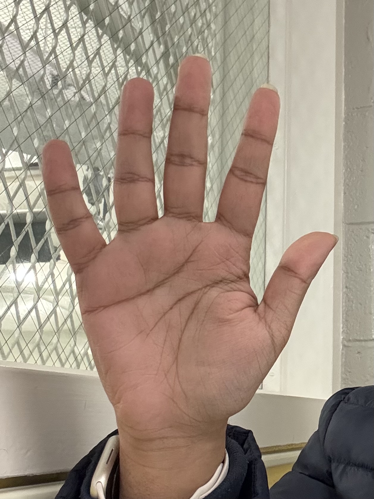 Gestures Object Detection Dataset by lab8yolo