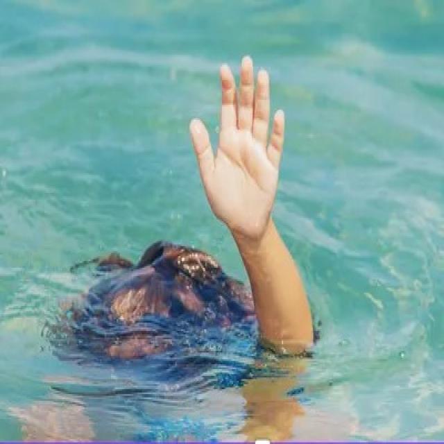 Drowning Object Detection Dataset by t1