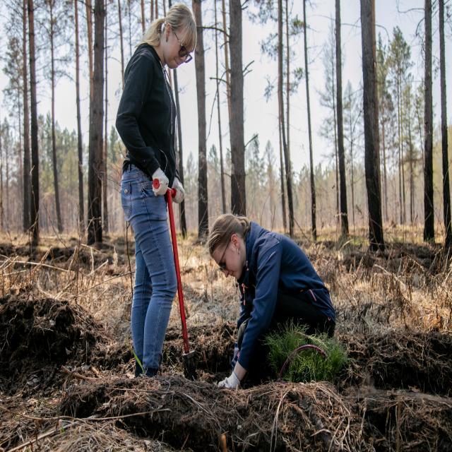 forest_segmentation Instance Segmentation Model by Project