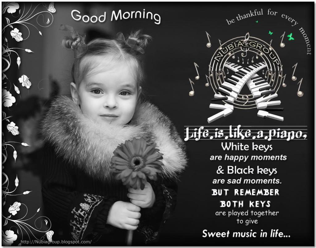 Yolo Training Object Detection Dataset by Face Detection