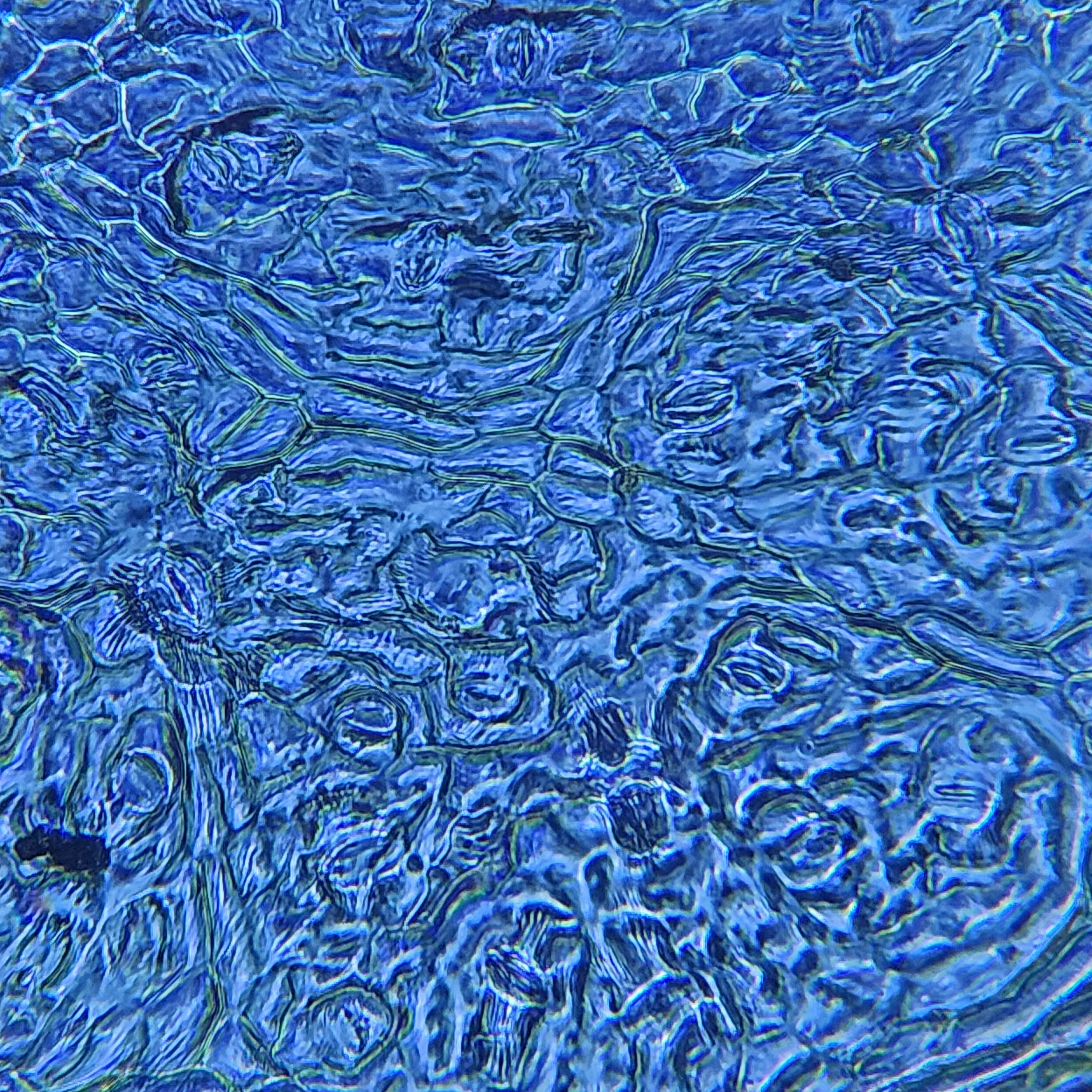 Little-leaf Segmentation 2025 Instance Segmentation Dataset by Data