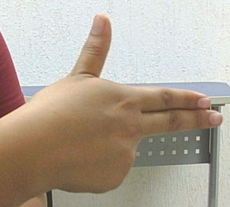 LSM gn - Roboflow Universe