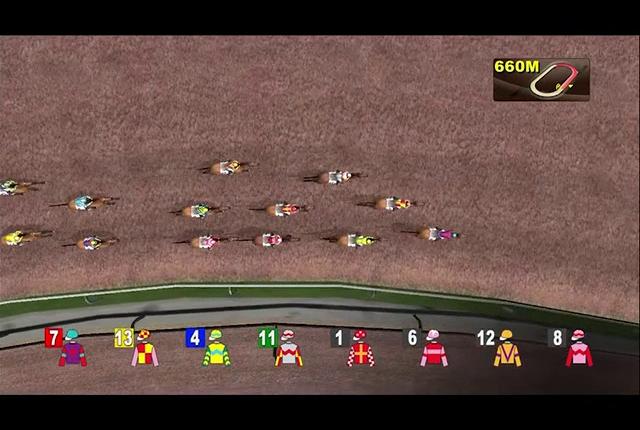 Horse Race Object Detection Dataset and Pre-Trained Model by folio3