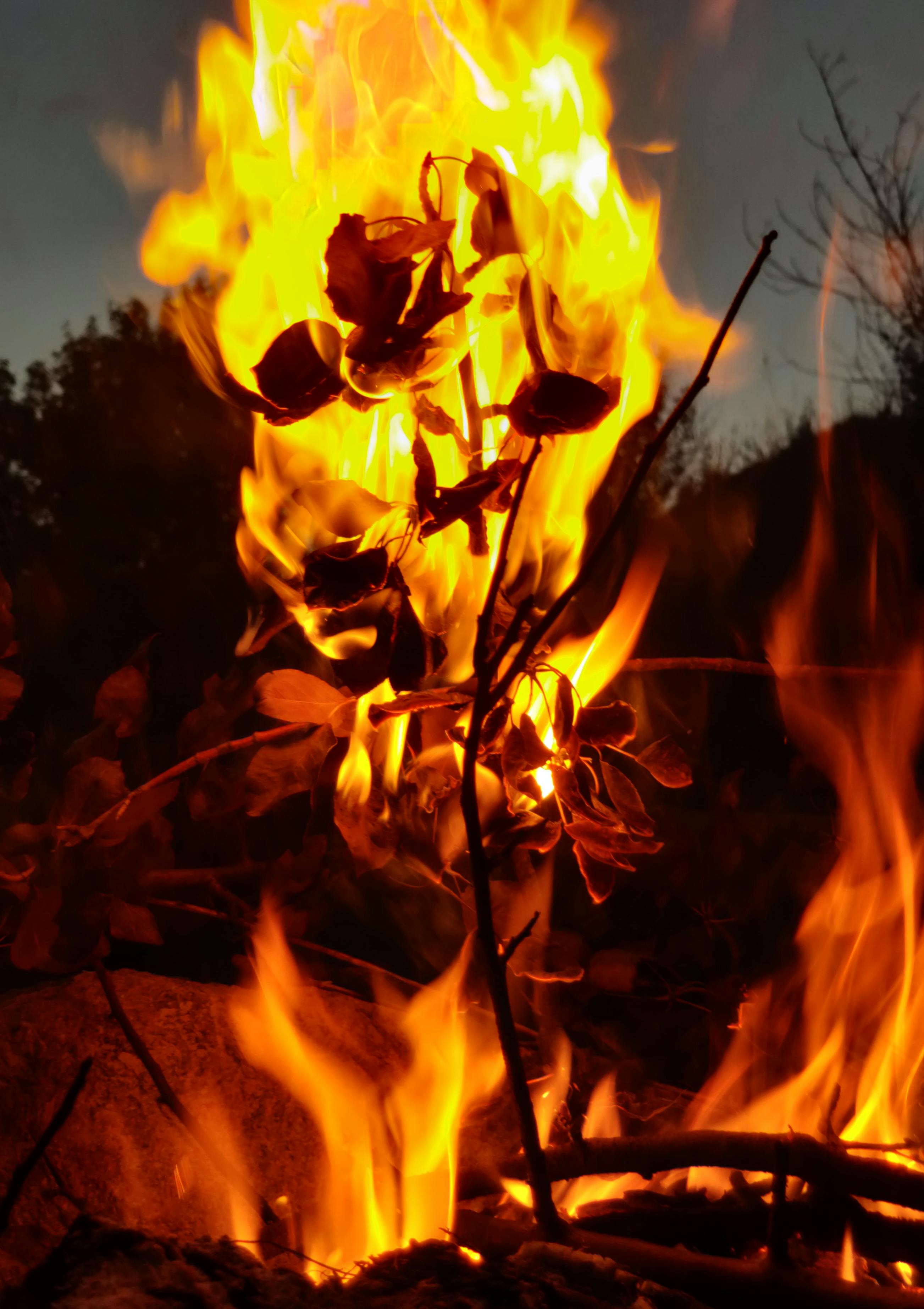 Programming (programming-opcun) - Roboflow Universe