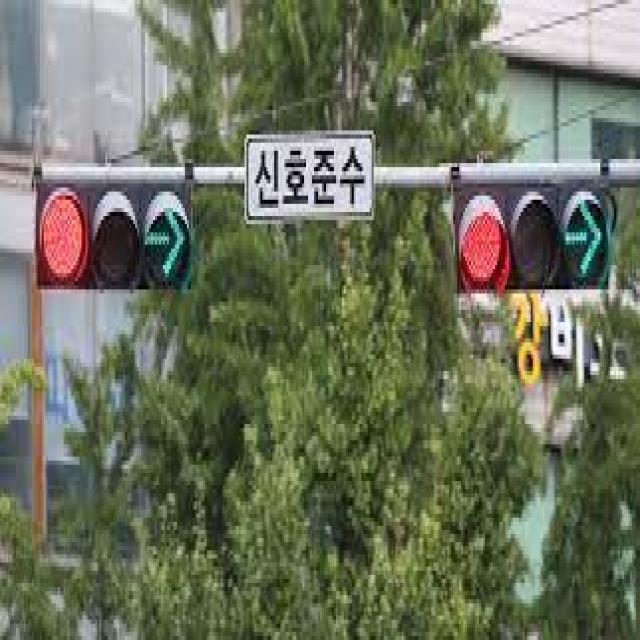 traffic lights red Object Detection Dataset by project-x9thl