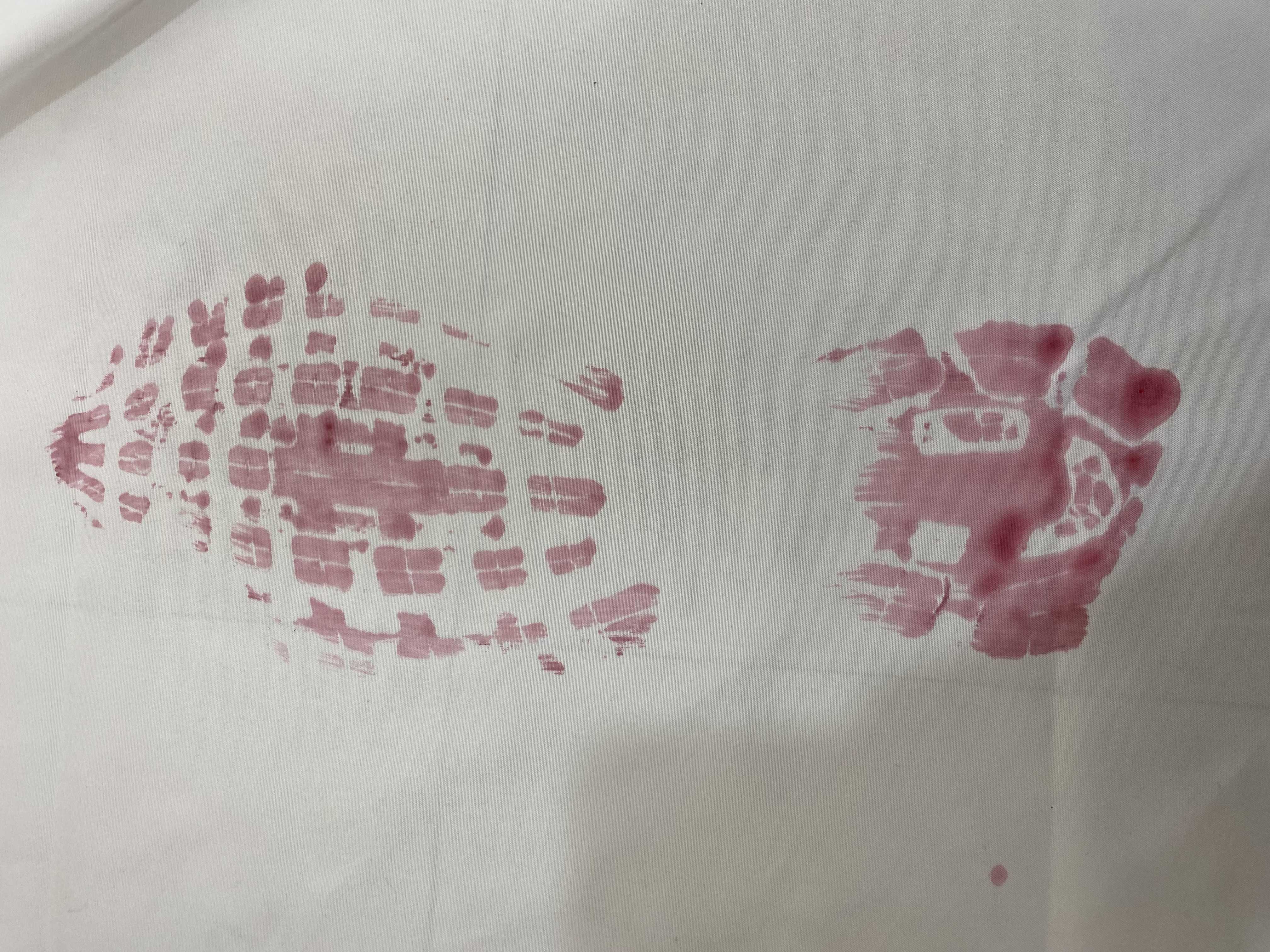 Footprint Detection Object Detection Dataset By Test