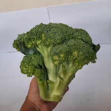 broccoli Object Detection Dataset by fruits and veggies