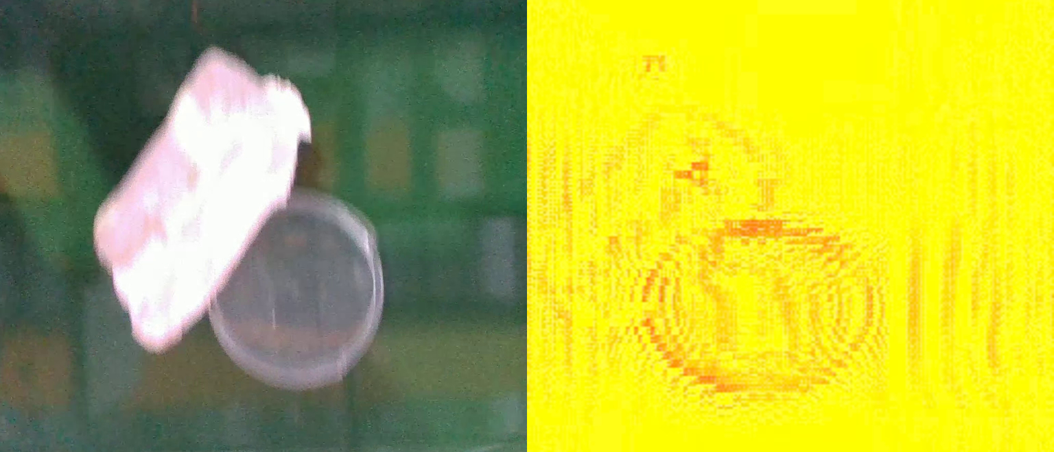 Project1 Object Detection Dataset By Thz