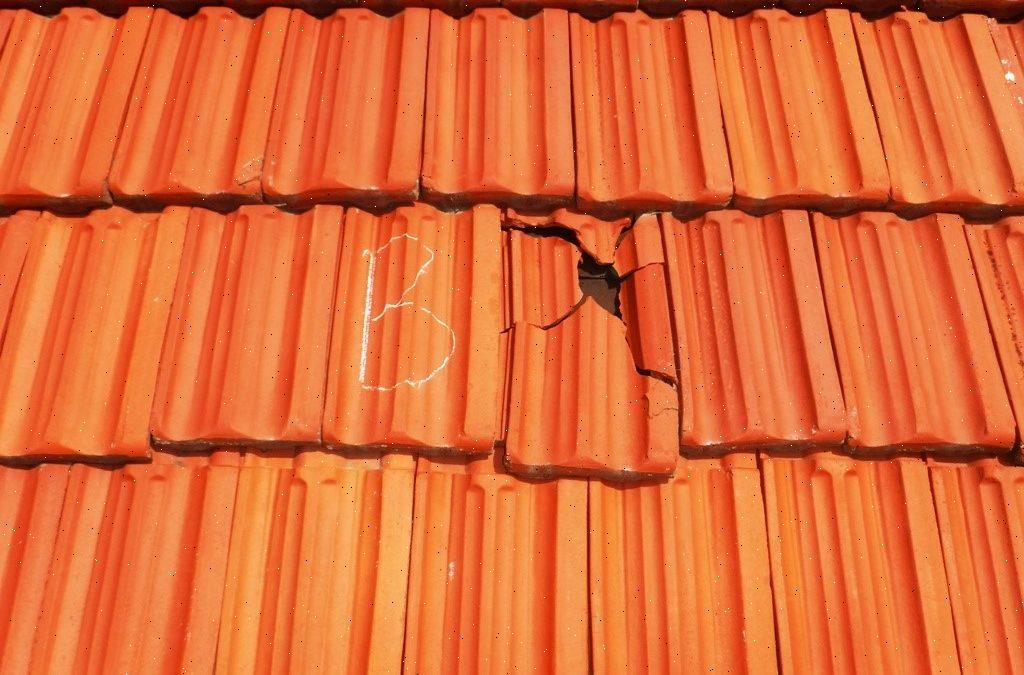 roof-damage-noclass-GOOD Instance Segmentation Dataset and Pre-Trained Model by Capstone Roof ...