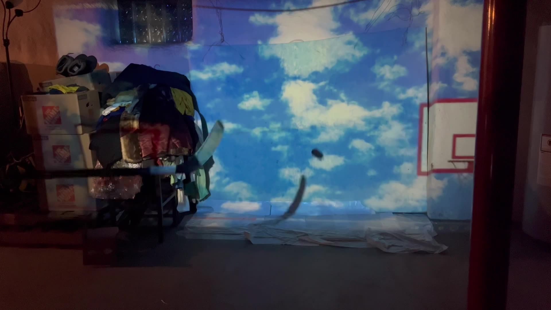 RuHo Dev - Roboflow Universe