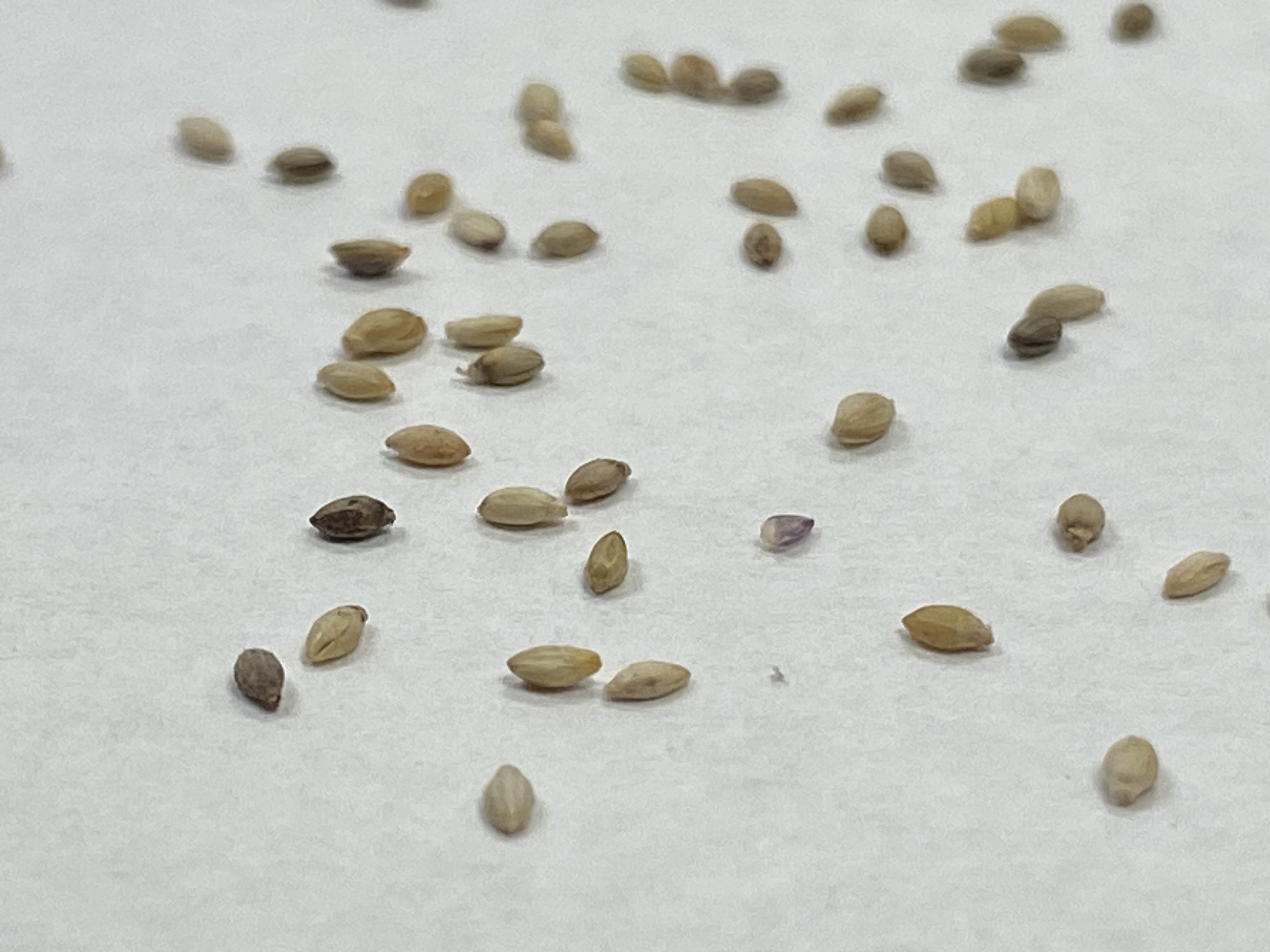 Practice (practice-ajhzw) - Roboflow Universe