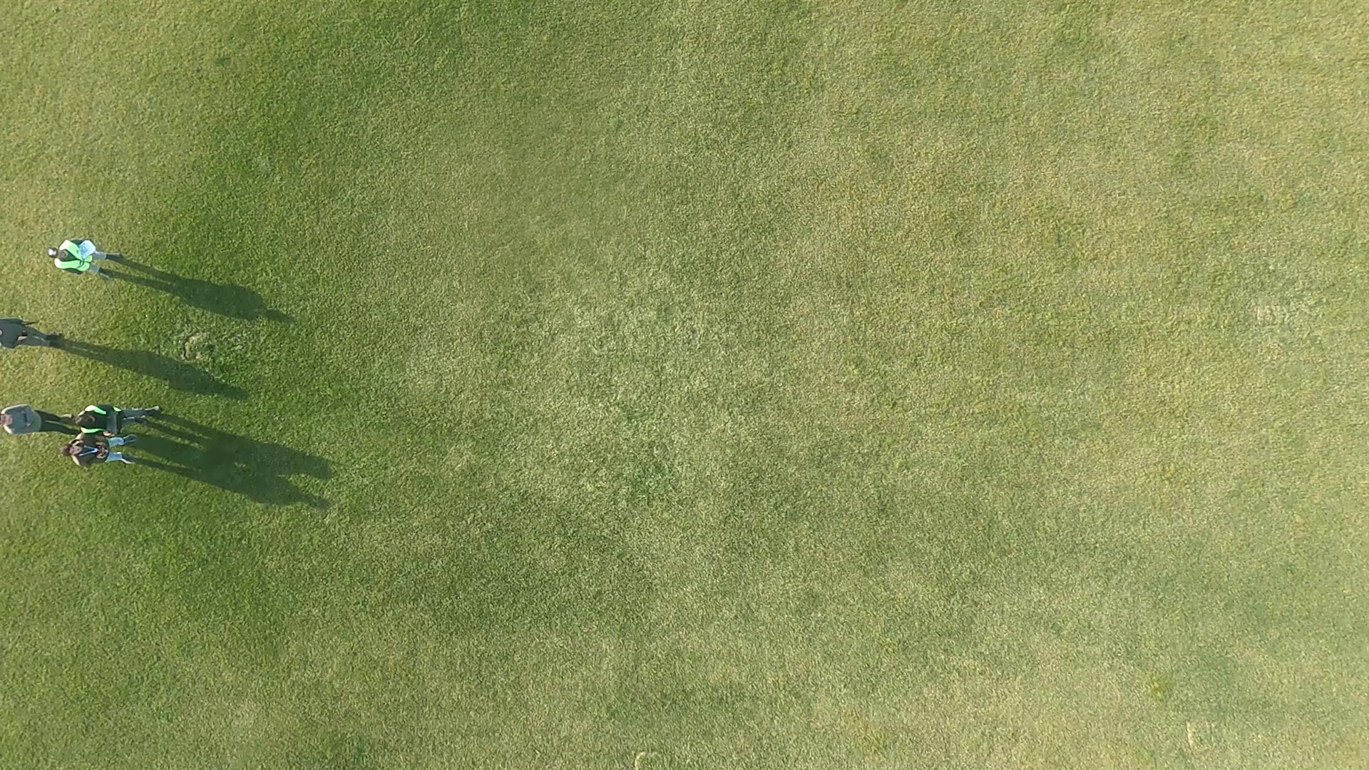 detectionefe - Roboflow Universe