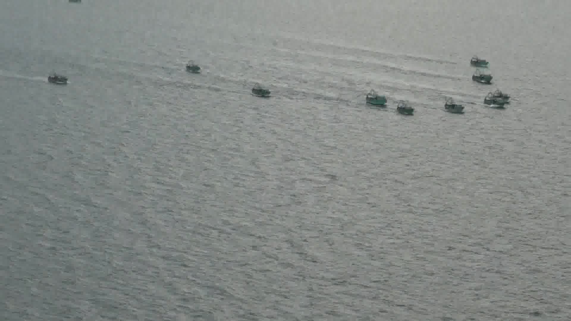 Silva Object Detection Model by lavtc