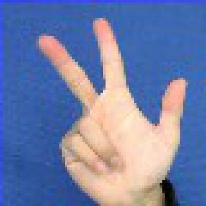 language numbers signs Object Detection Dataset by Amir Sharifi