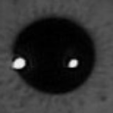 eye_tracker Object Detection Dataset and Pre-Trained Model by Eye