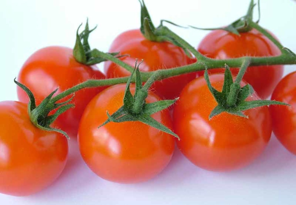 My First Project Object Detection Dataset and Pre-Trained Model by Agastyas Workspace