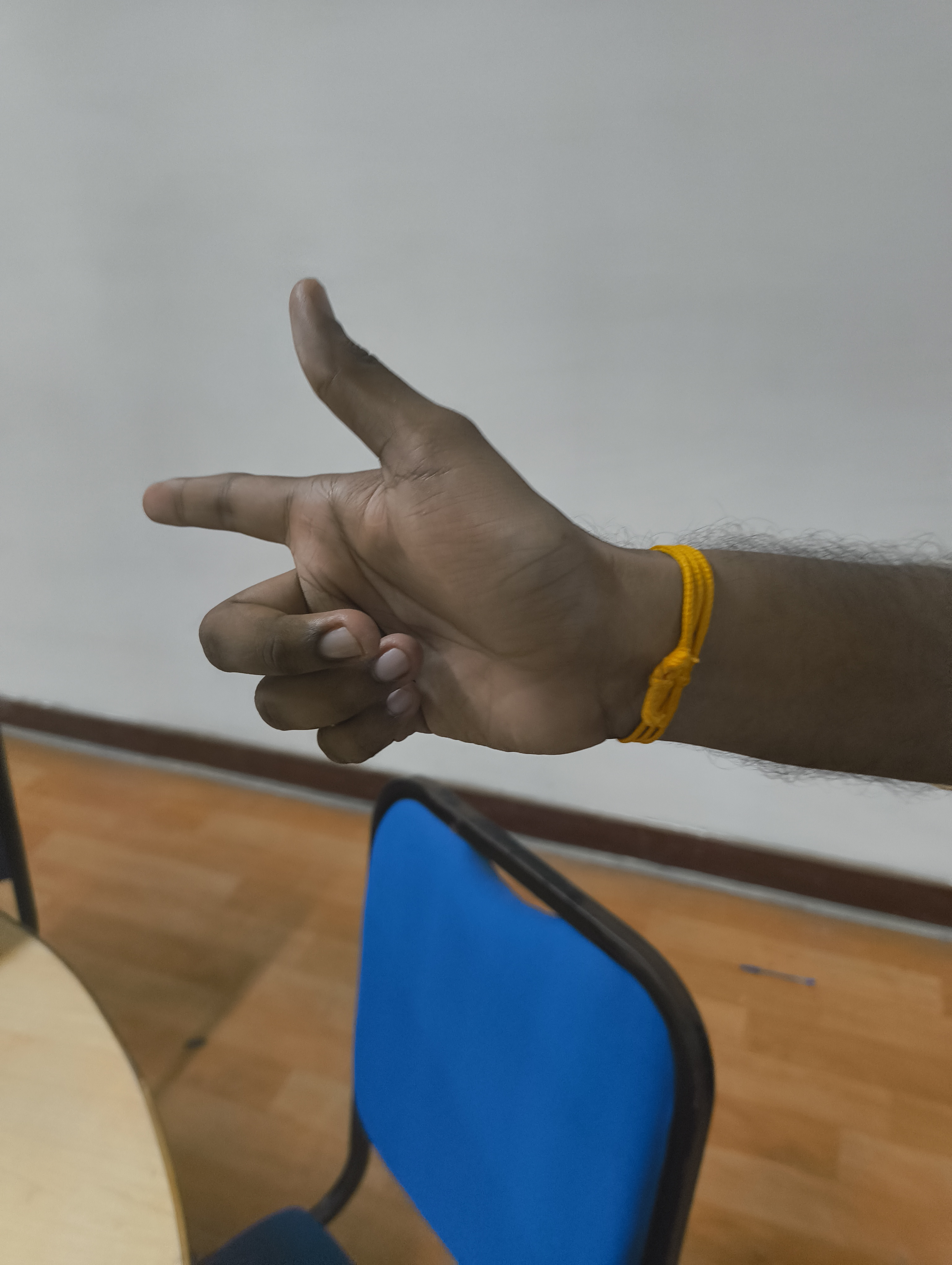 Next Track Object Detection Dataset by hand