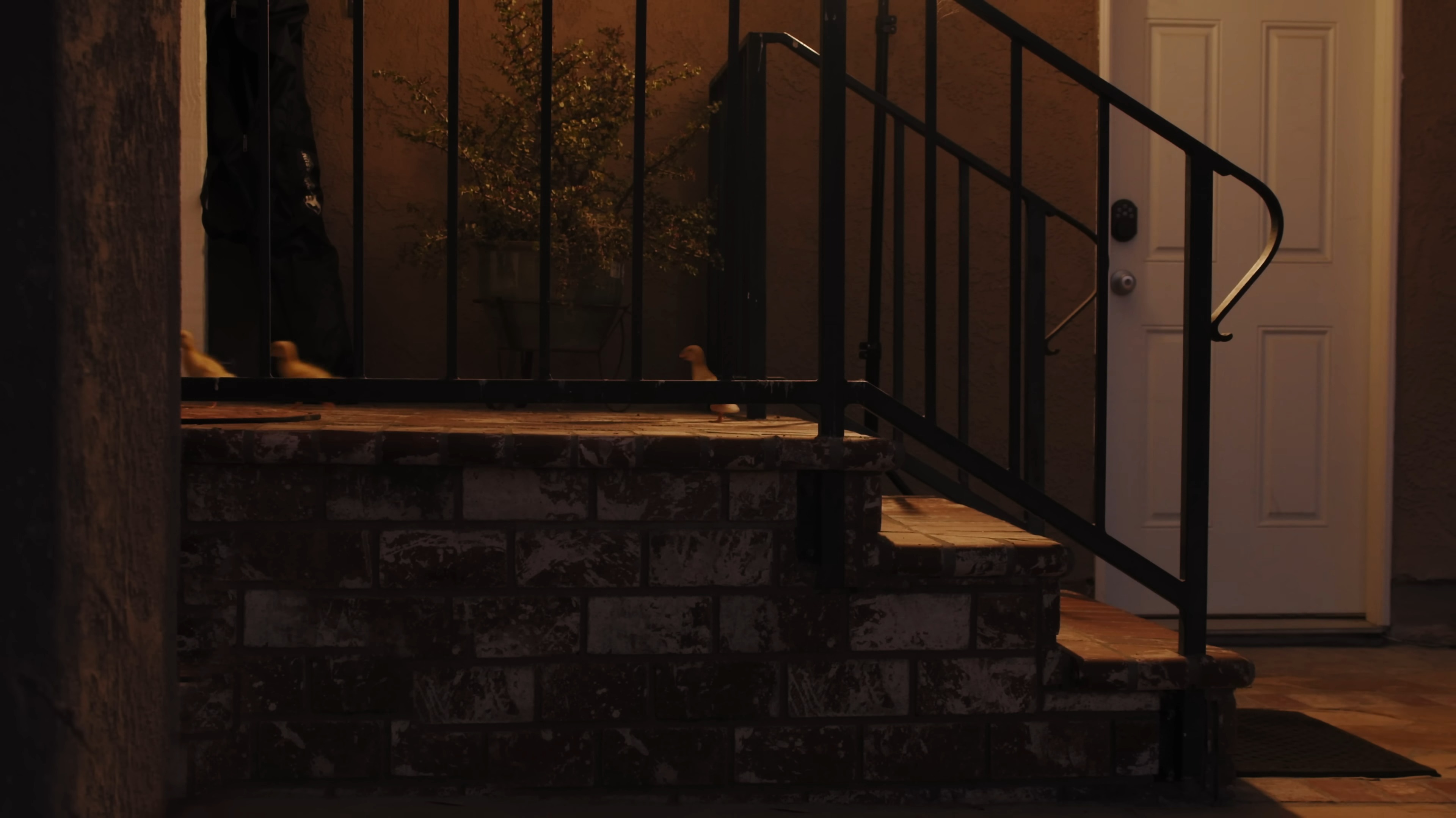 cat-duck Object Detection Dataset and Pre-Trained Model by rtkku