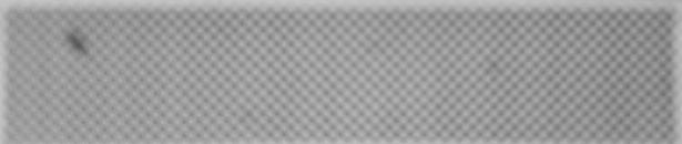 Cricket Object Detection Dataset By Cricket