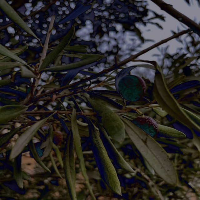 Midnight Effect Object Detection Dataset by MCAST