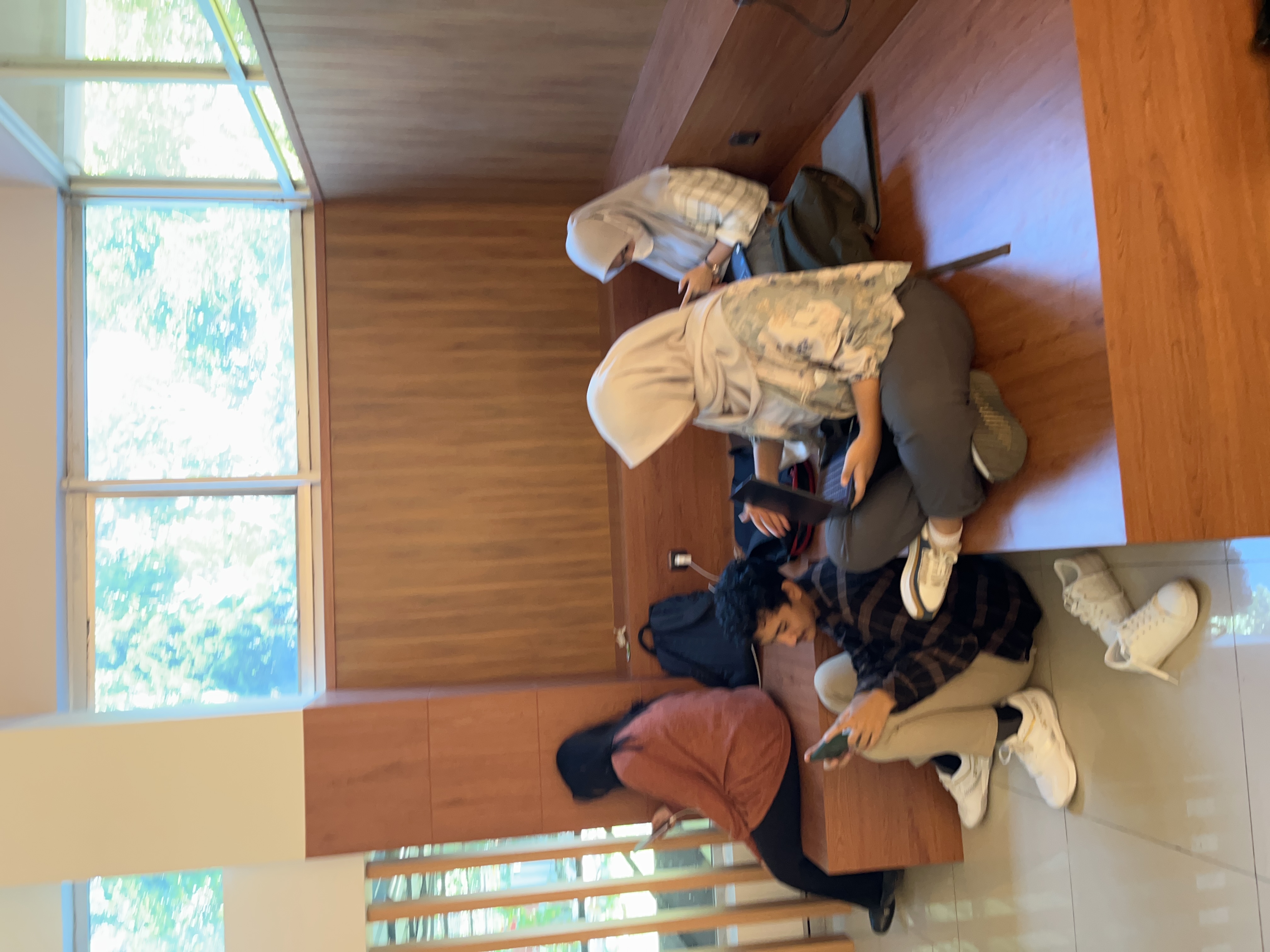 Femas m - Roboflow Universe