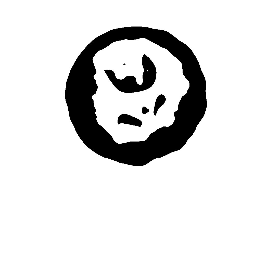 egg segment new Instance Segmentation Dataset by jameshoran