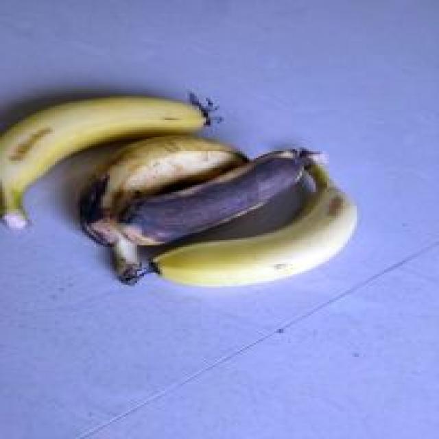 Fruit Quality Inspection System Object Detection Model by Intelligent ...