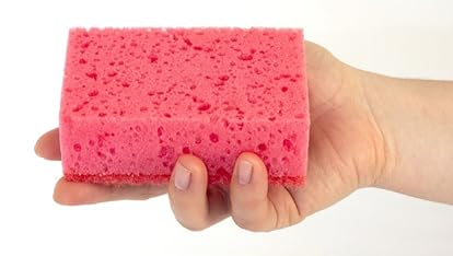 sponge Object Detection Dataset and Pre-Trained Model by red spong