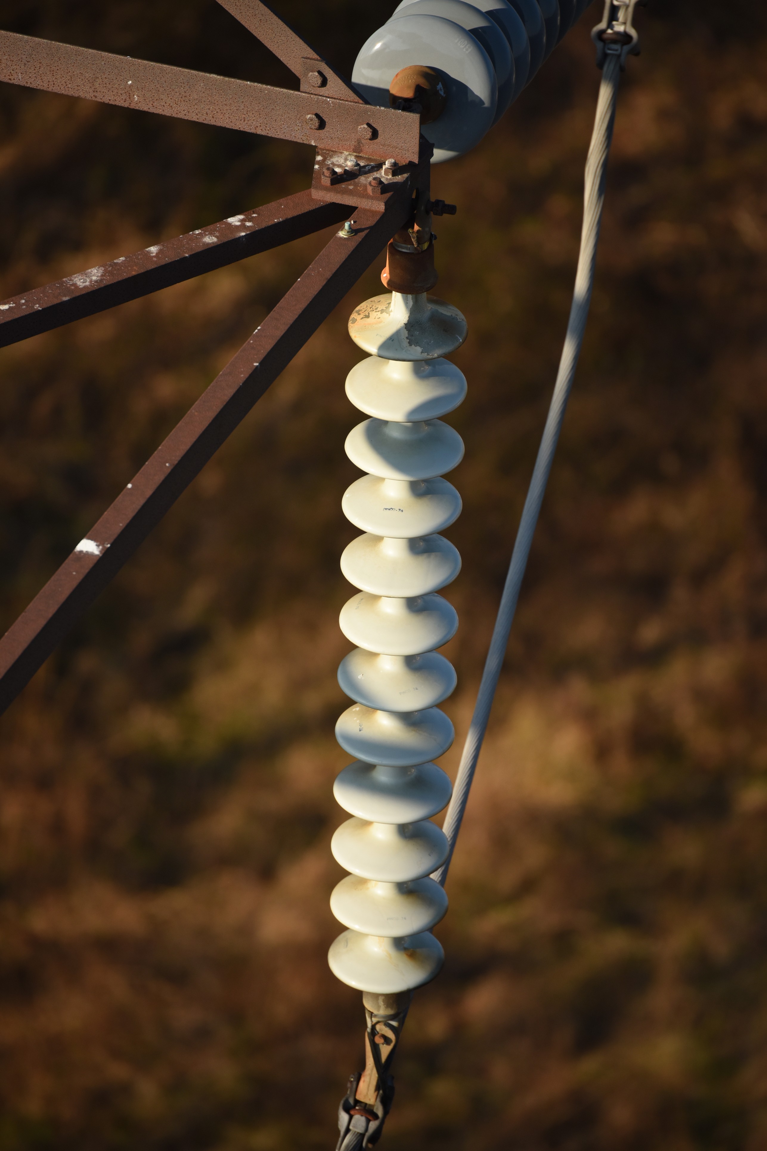Insulator Defect Object Detection Dataset By Transmissionlinefaultdetection