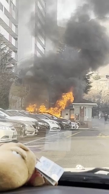 cap Object Detection Dataset by yolov5