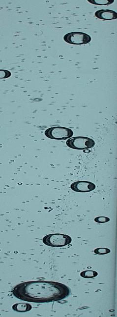 Bubble Detection Object Detection Model By Univercity