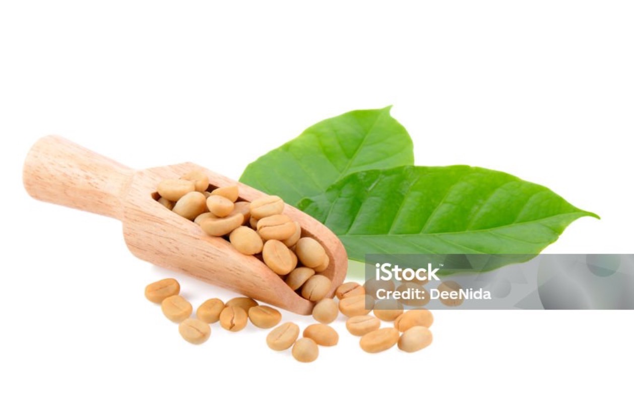 Type of Coffee beans Object Detection Model by KosinKMITLACI5