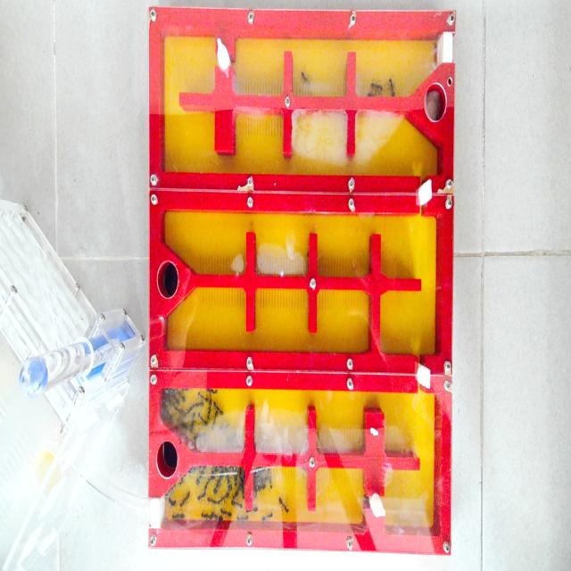 Ant Detection Final Object Detection Dataset And Pre Trained Model By