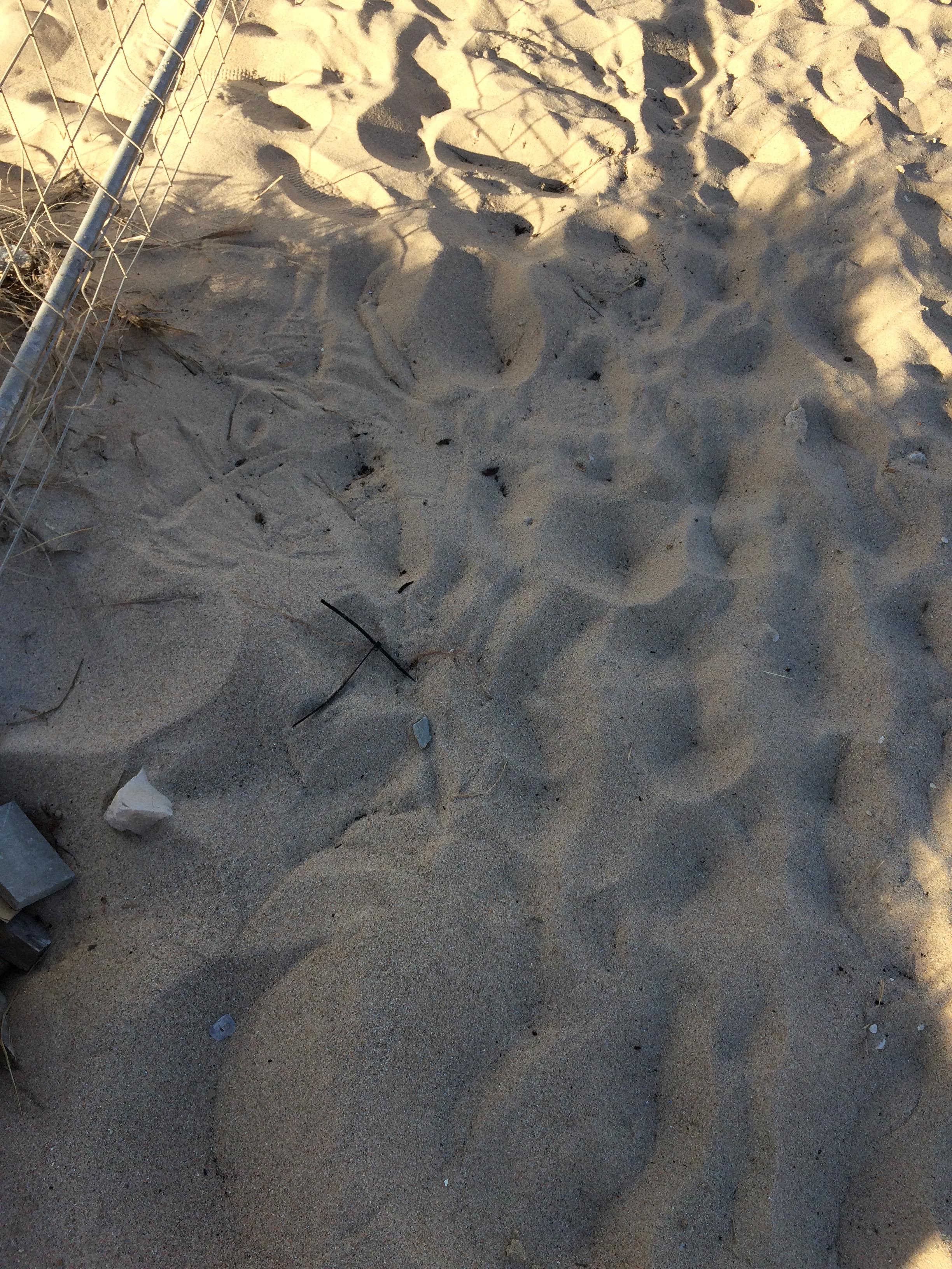 Litter detection Object Detection Model by Tutorial