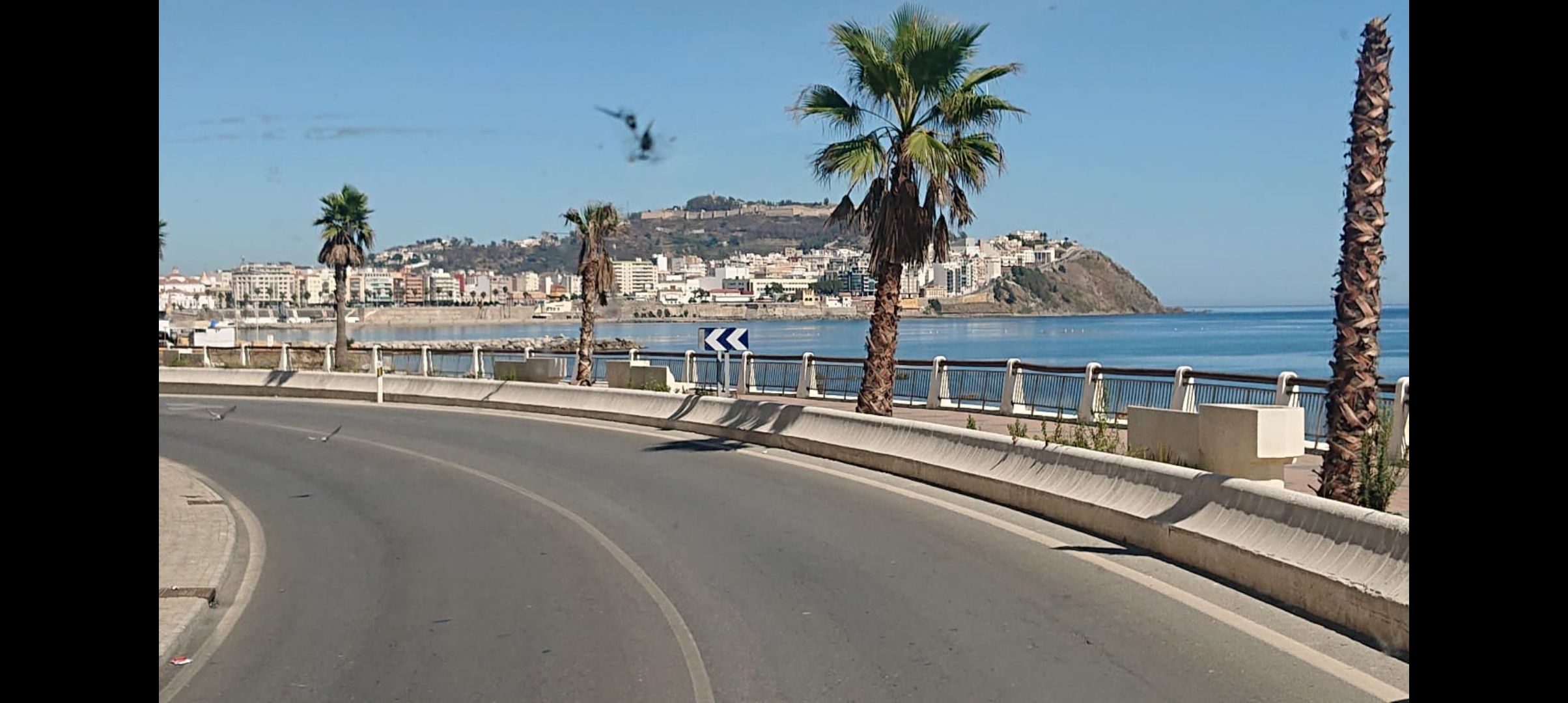 Arbolado-Urbano-V1-Seg Instance Segmentation Dataset and Pre-Trained Model by ArboladoV1