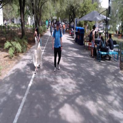 road Instance Segmentation Dataset by Tech University of Korea