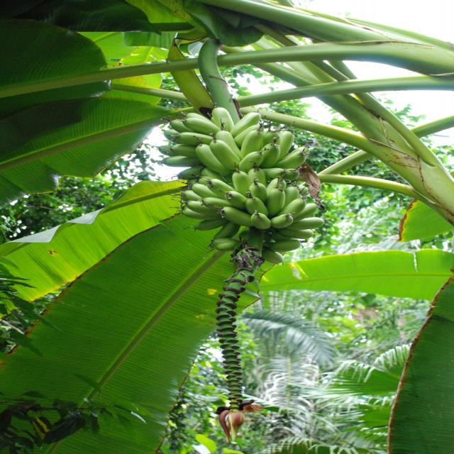 FOOD SEGMENTATION Instance Segmentation Dataset and Pre-Trained Model by finalproject