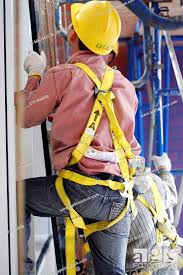 Safety Harness Dataset Object Detection Dataset and Pre-Trained Model ...