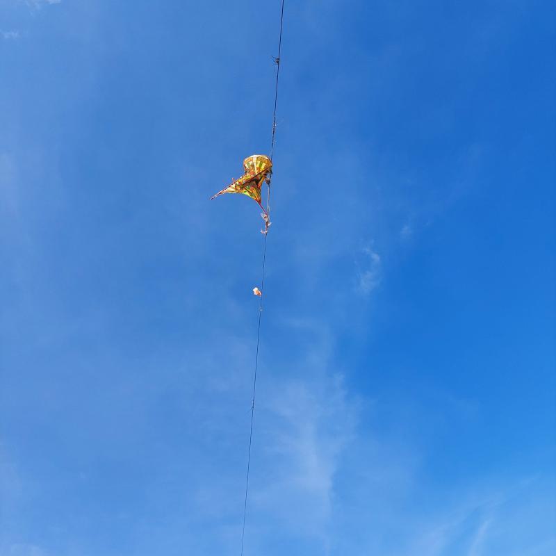 Foreign Object Object Detection Dataset By Wangbo