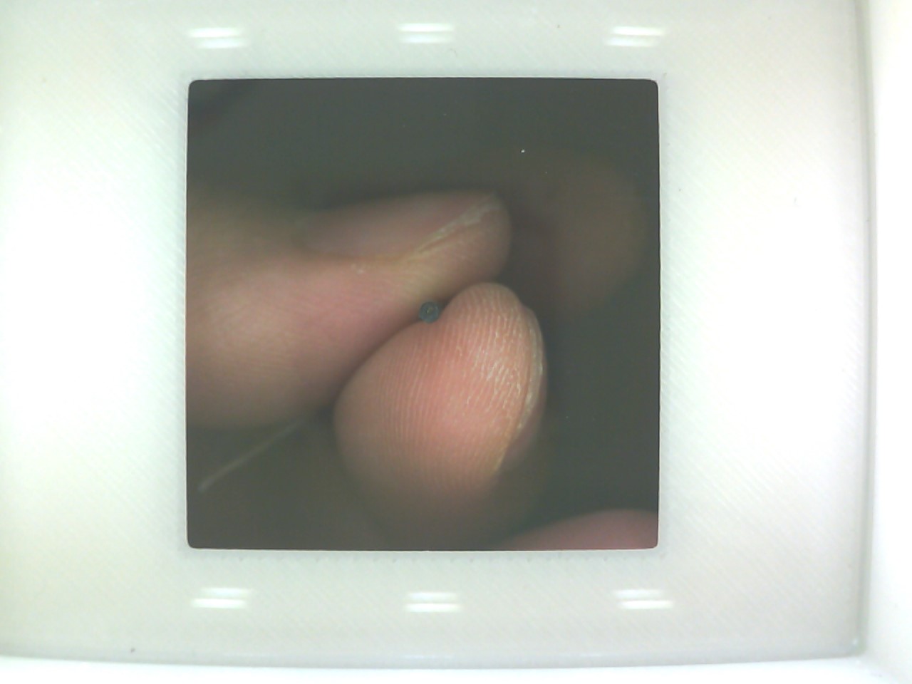 wire500 Instance Segmentation Dataset by ai2