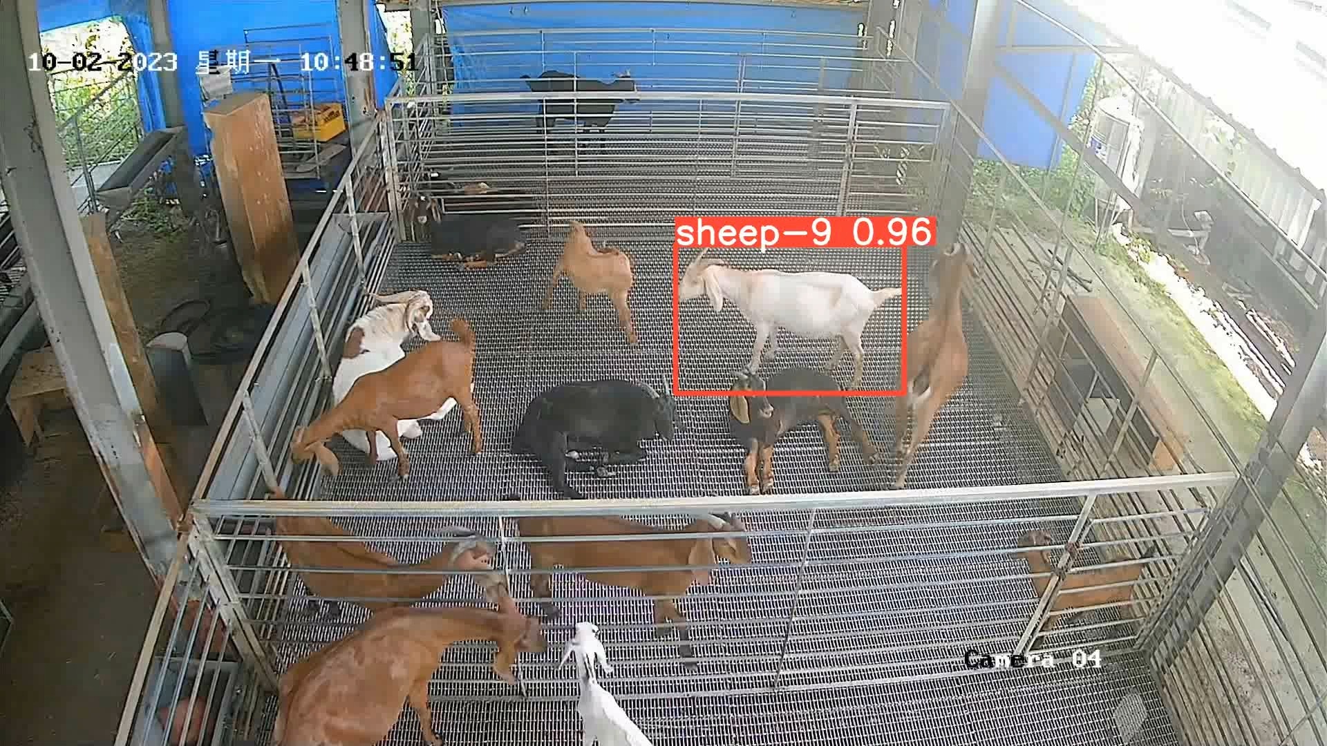 sheep1004 Object Detection Dataset by sheepdetection
