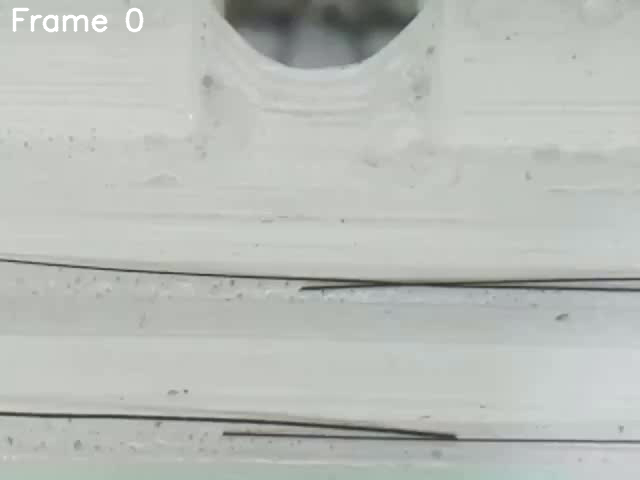 Hair Overlap - Roboflow Universe