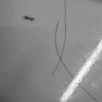 Hair Overlap - Roboflow Universe