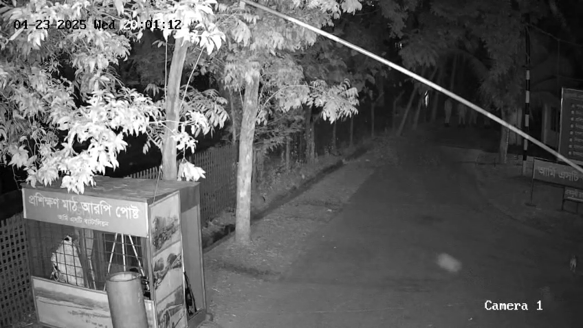 AI Surveillance Night Object Detection Dataset by MFRSiam