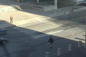 crossing Instance Segmentation Dataset by Myself