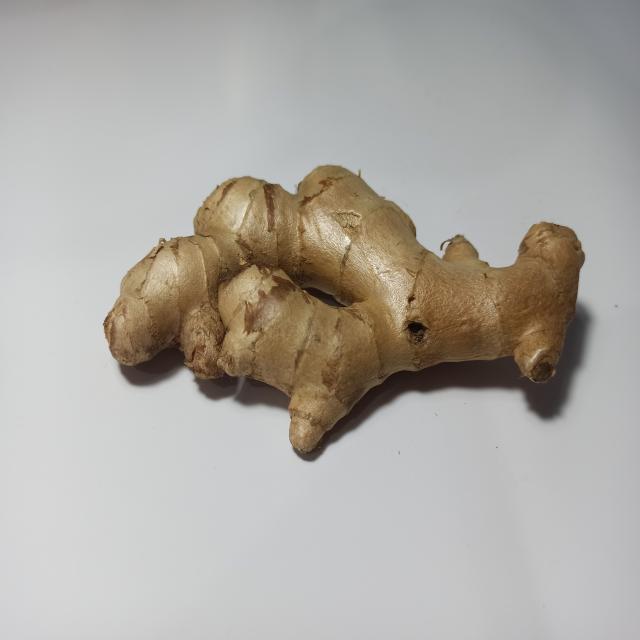 Detection Ginger Object Detection Dataset by Fruits