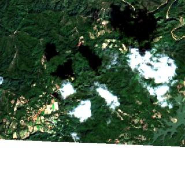 CienPinos_Final Instance Segmentation Dataset and Pre-Trained Model by Cienpinos