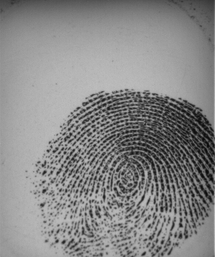 fake Object Detection Dataset by FAKE 1